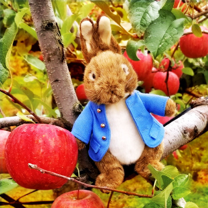 「今日はブッフェの日」冬企画 『Peter Rabbit™ Winter Buffet 2018』開催!! | ピーターラビット インフォブログ
